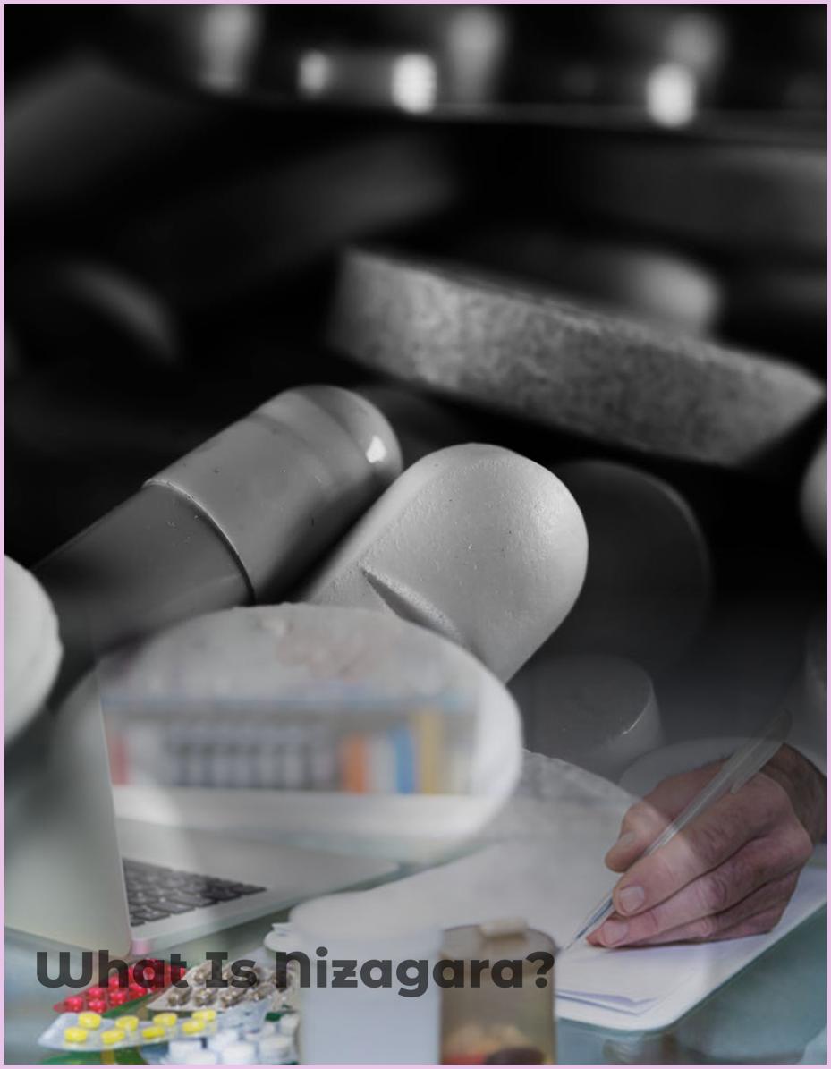 Nizagara Official Website | Project Re:Code